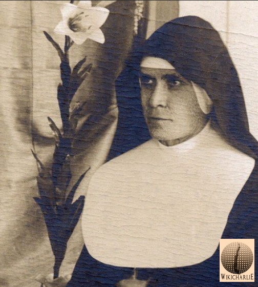 Historia del Liceo Santa Teresita - WikicharliE Historia del Liceo Santa Teresita - WikicharliE